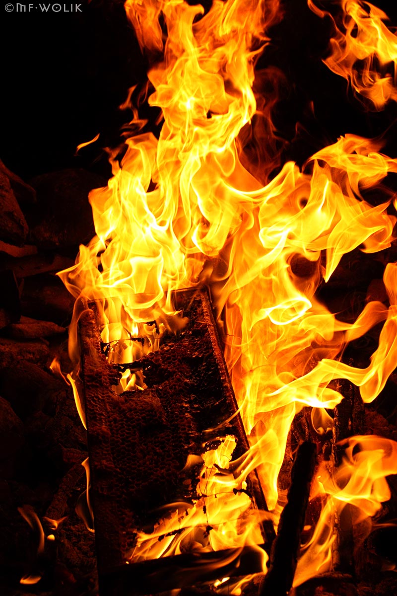 Fire MF Wolik Photography